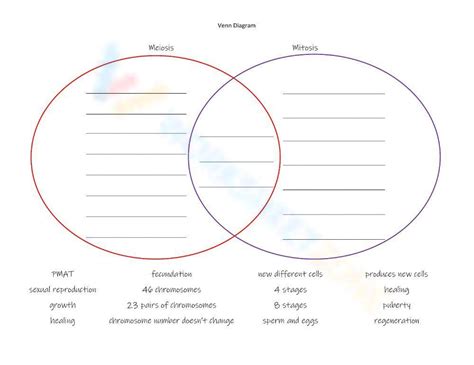 Meiosis Vs Mitosis Venn Diagram Mitosis Vs Meiosis Venn Diagram
