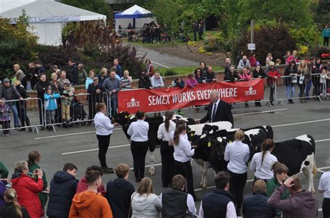 Final Line Up Calf Showmanship Class Reaseheath College