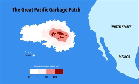 The Great Pacific Garbage Patch Is Now Home To Dozens Of Species