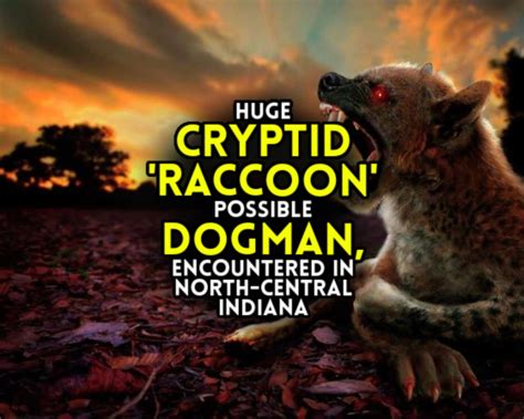 A Group Of Teens Is Exploring A Wooded Area North Of Indianapolis Indiana When They Encounter A