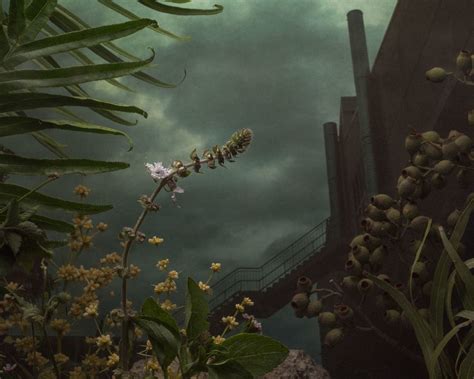 Botanical Inquiry Photographs And Text By Daniel Shipp Lensculture