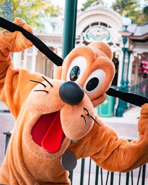 Pluto In Disneyland Paris Dlp Disneyland Paris Disneyland Disney