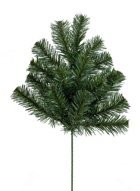 Sugar Pine Spray Greenery Market