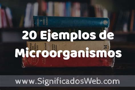 20 Ejemplos De Microorganismos ️ Tipos Definición Y Análisis