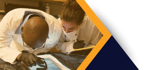 About Odni Orise Research Participation Programs At The Office Of The