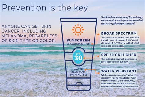 Sunscreen 101 Safeguard Your Skin And Support Coral Reefs Moffitt