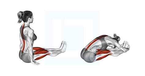 Lying Hip Flexor Stretch Guide Benefits And Form