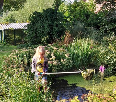 Tentoonstelling Juno De Levensboom