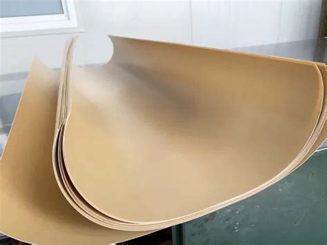 E Coat Membrane Sheet Lanxess Sybron Ionac Ma 7500 Mc 3470 Lon