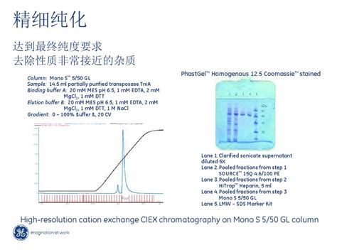 层析技术基本原理word文档在线阅读与下载无忧文档