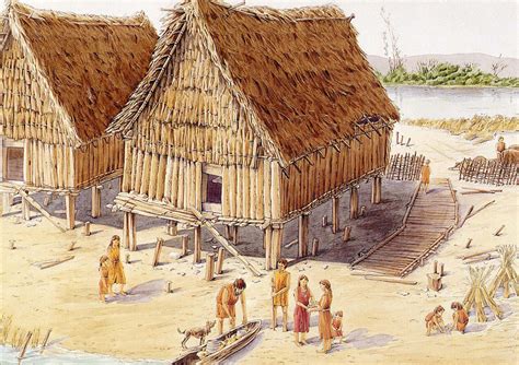 Le Néolithique à Lécole Pascal Semonsut Hominidés
