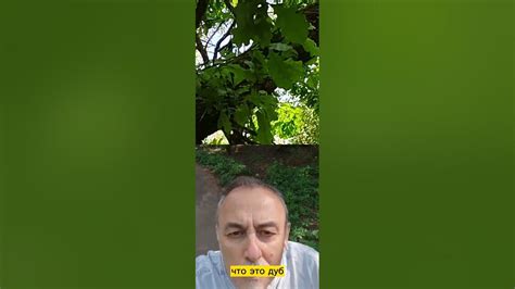 Кто с кем дружит? - YouTube