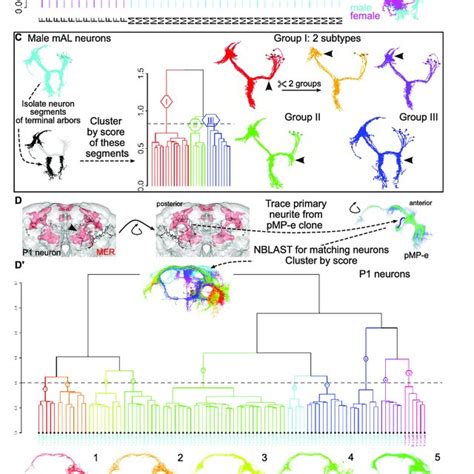 Affinity Propagation Clustering A Clustering By Affinity Propagation Download Scientific
