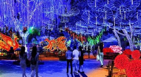 Global Winter Wonderland Vip Limo Christmas Lights Party Tour Is Live