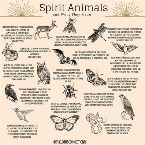 The Lotus Connection Ri Tarot Card Reader Animal Tattoo Meanings