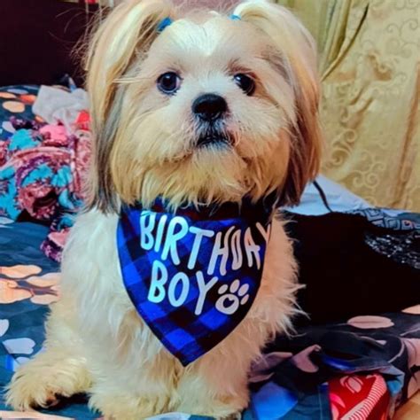 Cherry Lovers Youtube