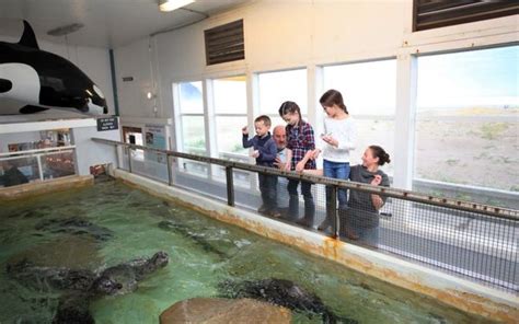 Seaside Aquarium Updated June 2026 360 Photos And 271 Reviews 200 N