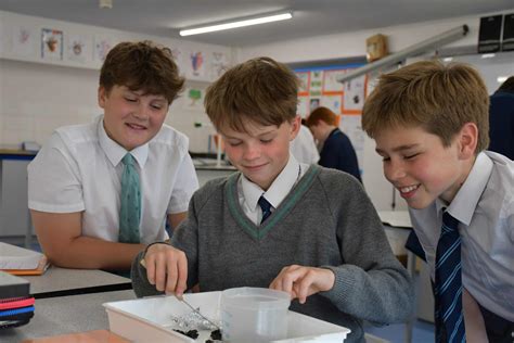 Dissecting Owl Pellets Abingdon Prep School