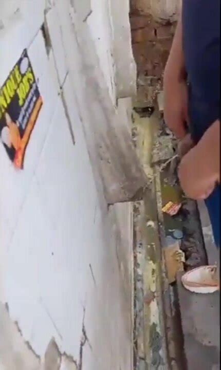 Indian Public Urinal Video 5