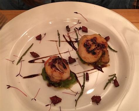 The Duck At Burtle Bridgwater 2026 Reviews And Information