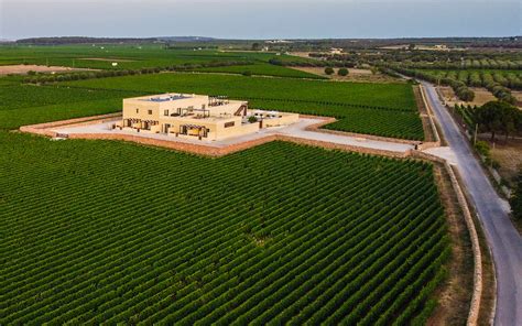 Weingut Gianfranco Fino Landolt Weine