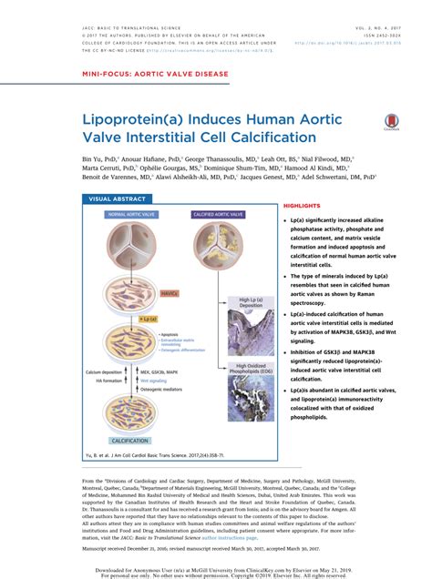 Pdf Lipoproteina Induces Human Aortic Valve Interstitial Cell