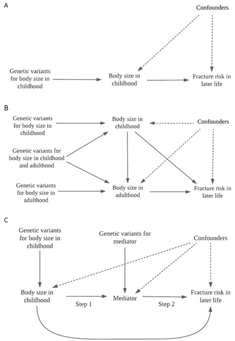 Directed Acyclic Graphs Indicating Three Scenarios To Explain The