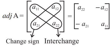 Adjoint Of A Matrix Adjugate Matrix Definition Formula Examples