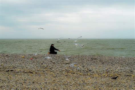 Lonely Days By Stephane Boudon Photo Article