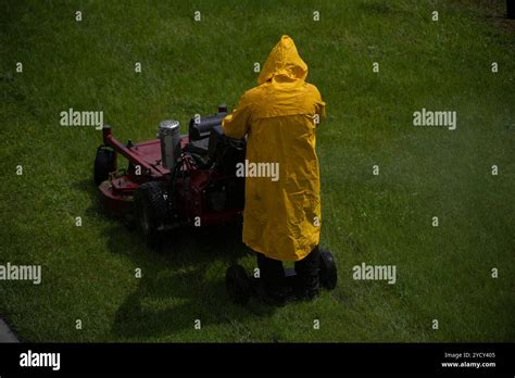 Mowing Lawn Cut Grass Before And After Lawn Equipment Grass