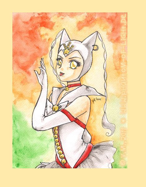 Sailor Tin Nyanko Sailor Moon Villains Sailor Moon Moon Illustration