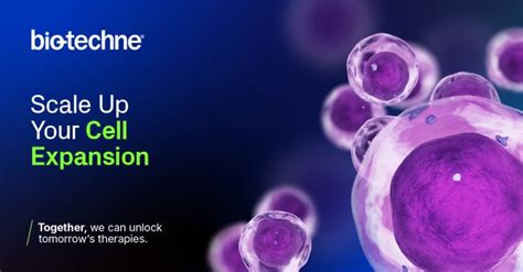 Stem Cell Growth Scalability Consistency And Preservation Bio