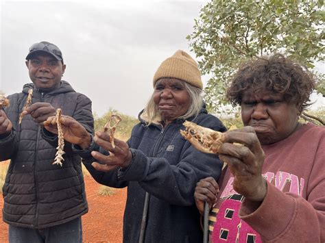 Last Tjamu Tjamu Aboriginal Corporation Kiwirrkurra Facebook