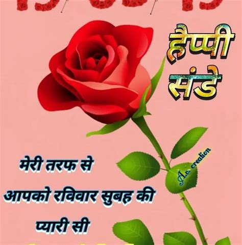 Rahul Nikam