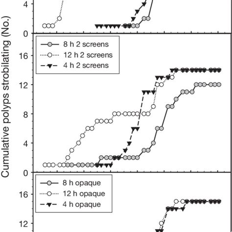 Aurelia Labiata Cumulative Numbers Of Strobilating Polyps Second