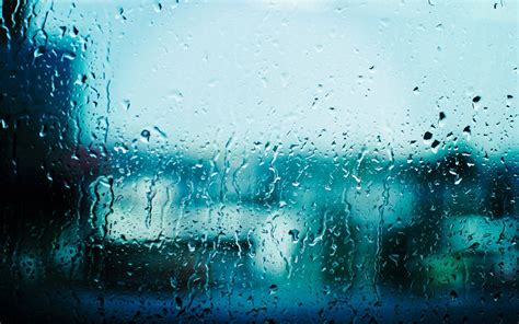 Gotas De Lluvia 4k Ultra Fondo De Pantalla Hd Fondo De Escritorio