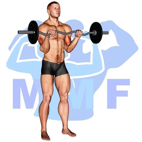 14 Upper Body Ez Bar Exercises You Should Be Doing