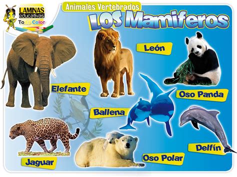 Laminas Educativas Diseños Exclusivos Y Originales¡