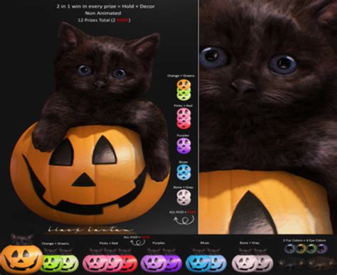 Second Life Marketplace Bb Pumpkin Candy Kitten 2 In 1 Blues