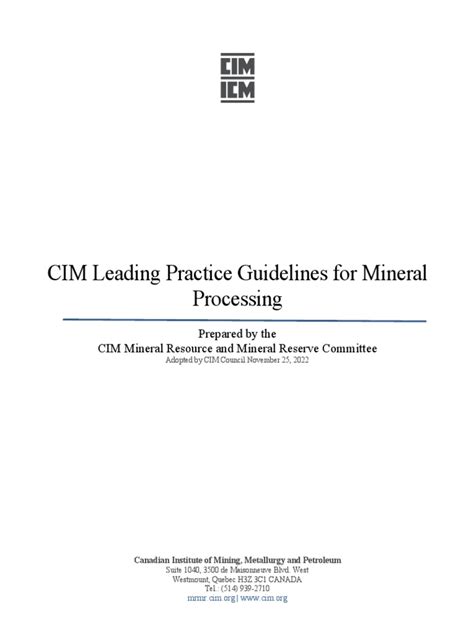 Cim Leading Practice Guidelines Pdf