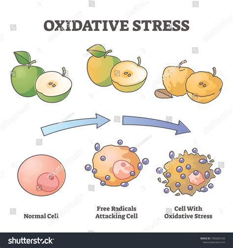 Oxidation