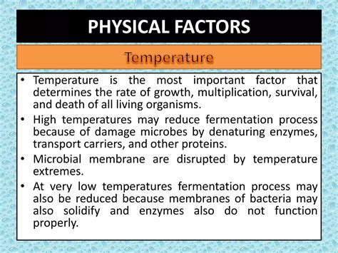 Factors Affecting Fermentation Pptx