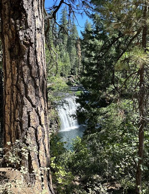Mccloud Falls Northern California R Outdoors