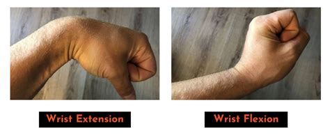 Best 20 Minute Forearm Workout With Dumbbells