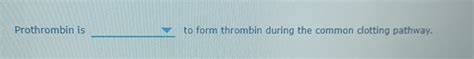 Solved Prothrombin Is ﻿to Form Thrombin During The Common