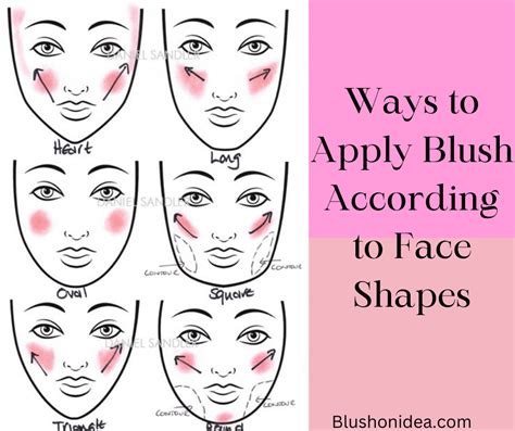 Apply Blush According To Face Shape At Lavina Flippen Blog