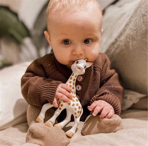 Choosing The Best Teether Toy Is A Teething Toy Really Necessary For