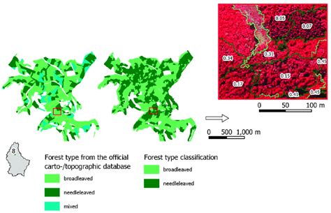 Comparison Of Forest Types From The Official Carto Topographic
