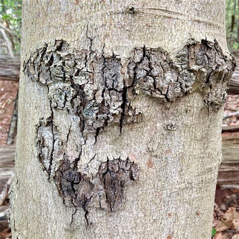 May 14 2025 Yet Another Unitarian Universalist