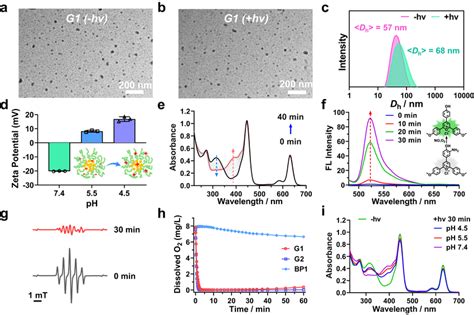 Characterization Of No Releasing Micellar Nanoparticles A B Tem Images